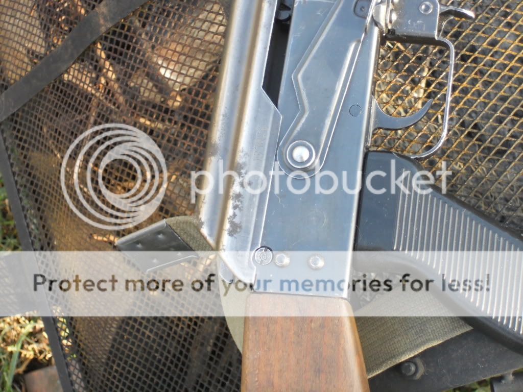 Blood pitting or normal rust? - AR15.COM