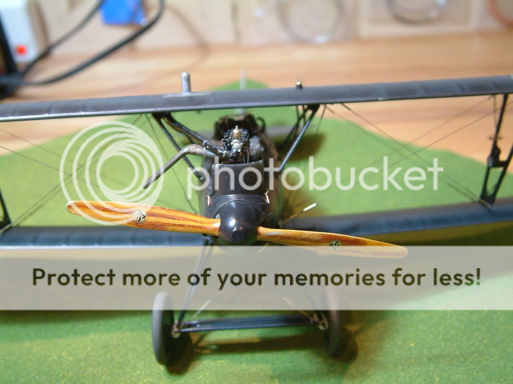 Pfalz D111a Carl Degelow, Jasta 7 - Ready for Inspection - Aircraft ...